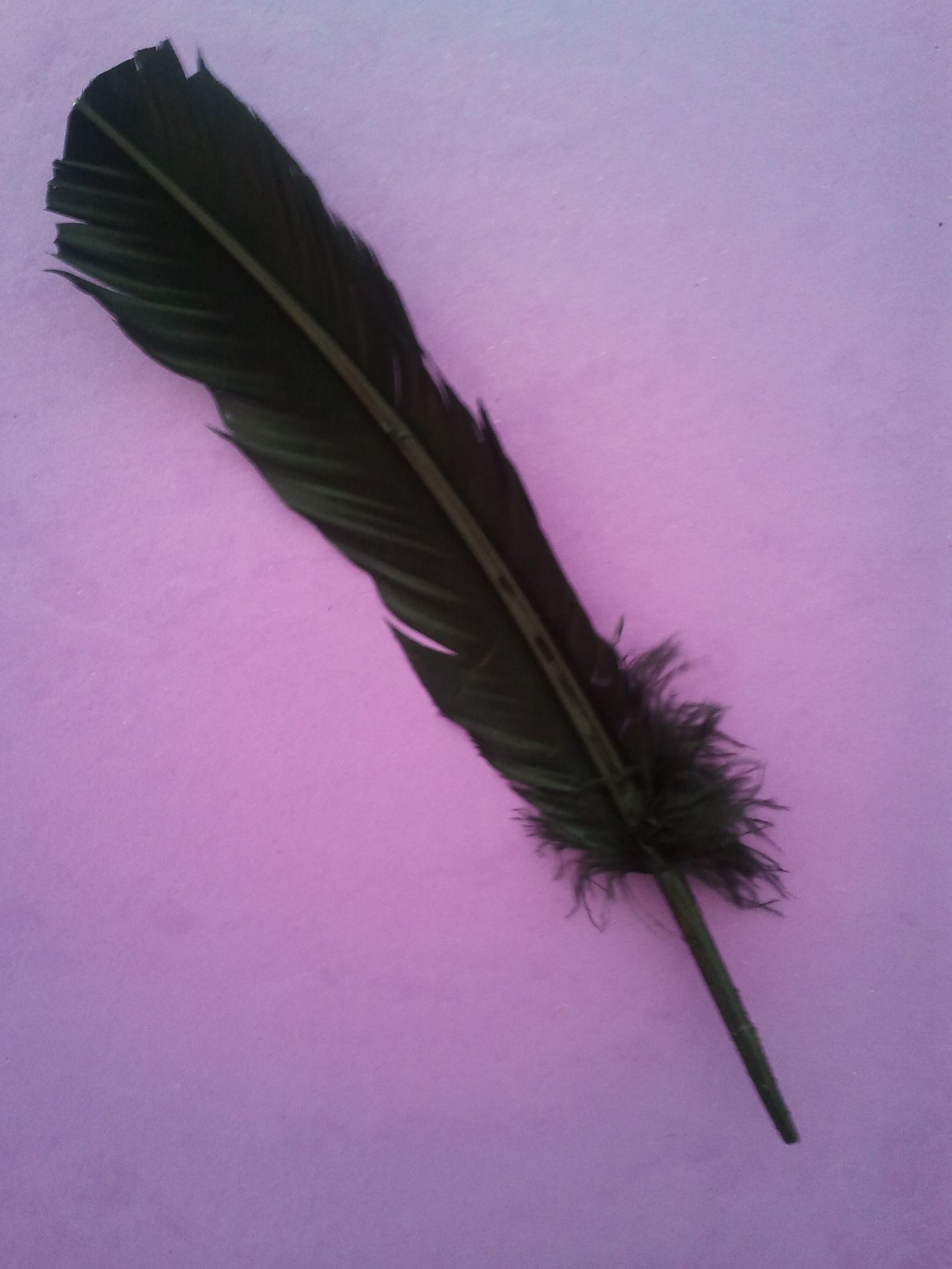 Laboratorio Rituals, mayorista esotérico y exotérico|Pluma negra