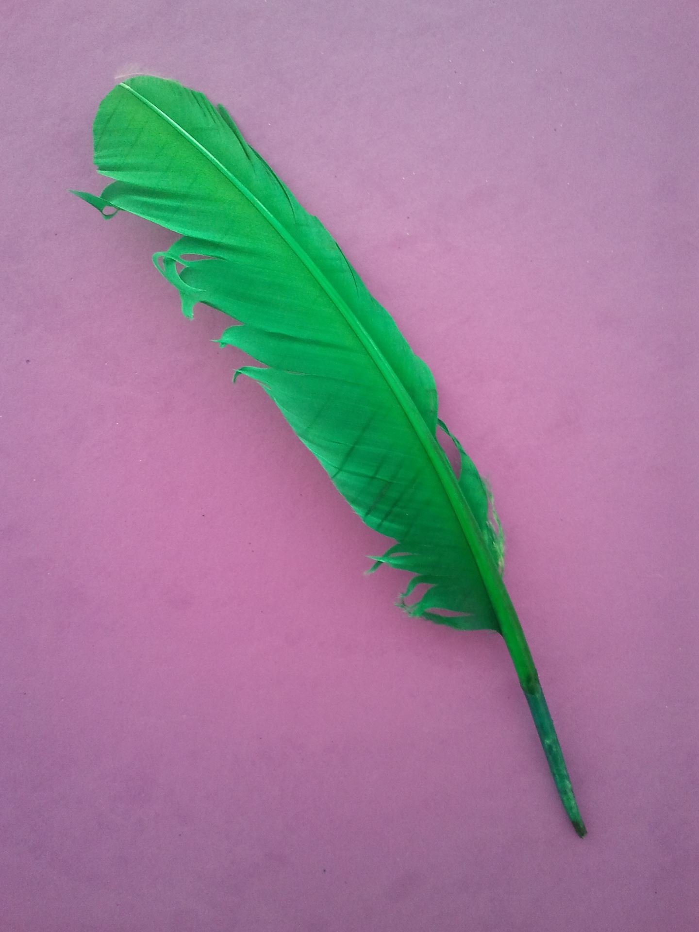 Laboratorio Rituals, mayorista esotérico y exotérico|Pluma verde claro