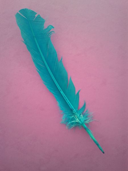 Laboratorio Rituals, mayorista esotérico y exotérico|Pluma azul turquesa